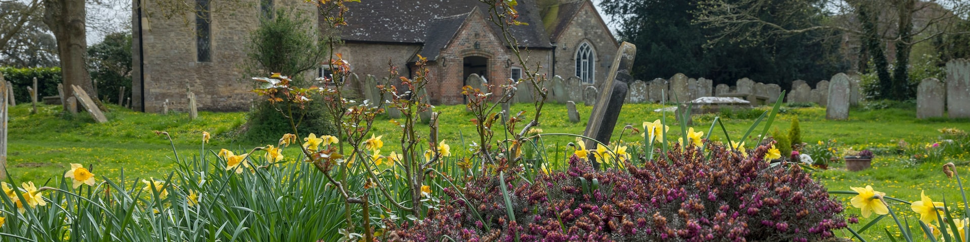 Uma igreja com uma torre, rodeada por um cemitério com lápides e narcisos em flor.