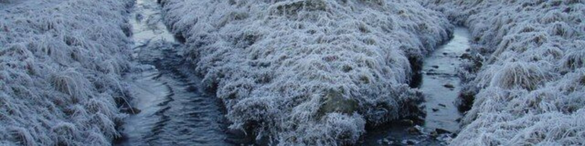 River Fleet Two burns come together into River Fleet