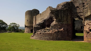 Ruínas de um castelo de pedra histórico, com um primeiro plano gramado e árvores ao fundo.