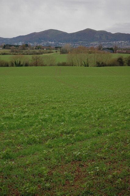 Um campo verde com montanhas ao longe e um céu nublado.