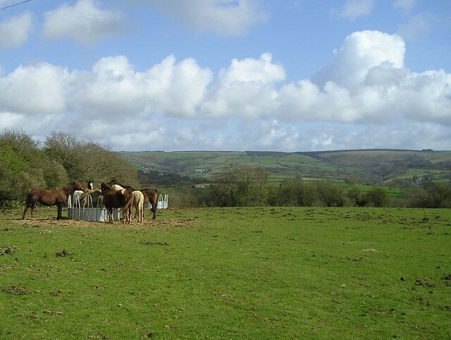 Um campo gramado com cavalos perto de uma cerca e uma paisagem acidentada ao fundo.