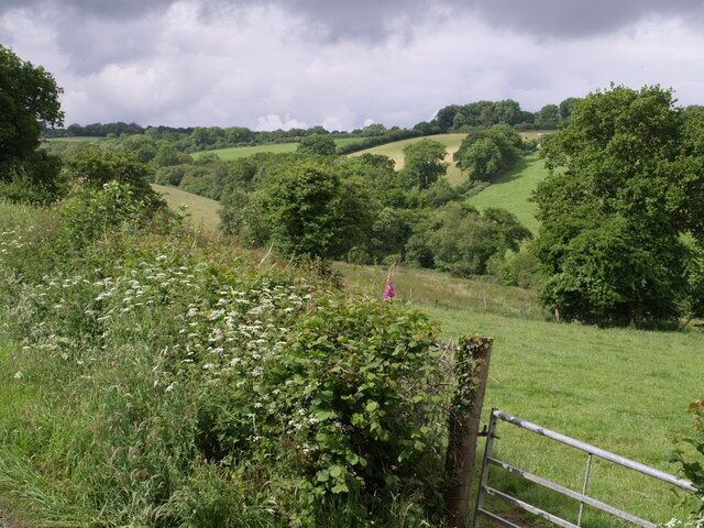 Paisagem rural com colinas ondulantes, vegetação densa e um portão de metal.