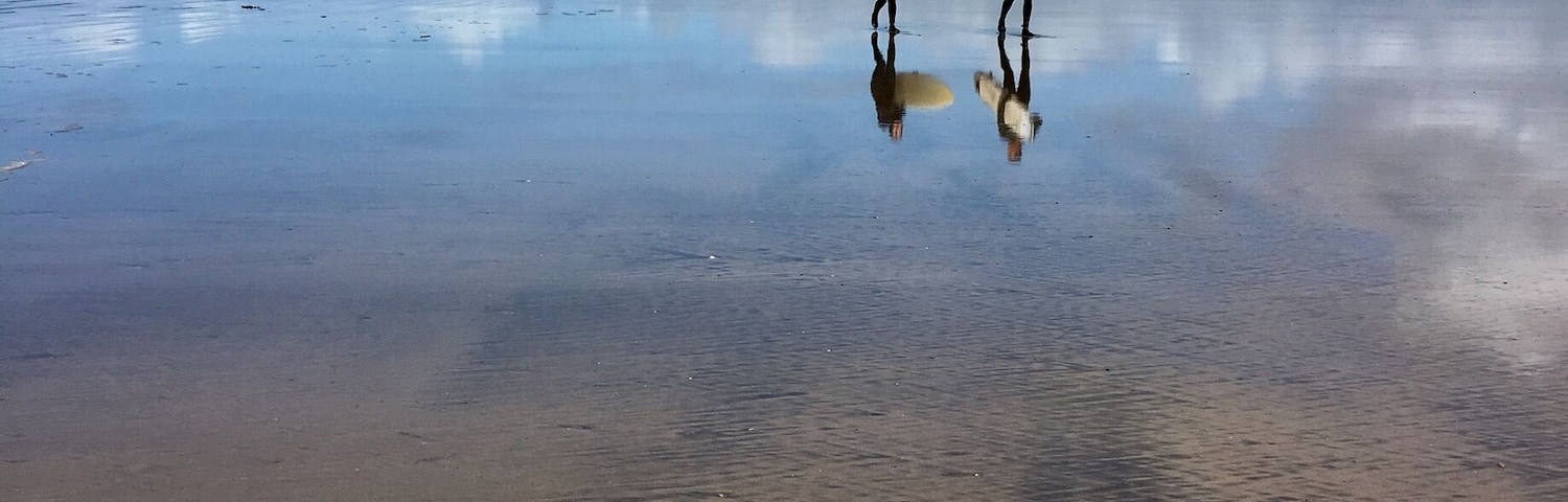 Beautiful reflections in the sand. Northam
burrows is a huge sandy beach perfect for learning to surf