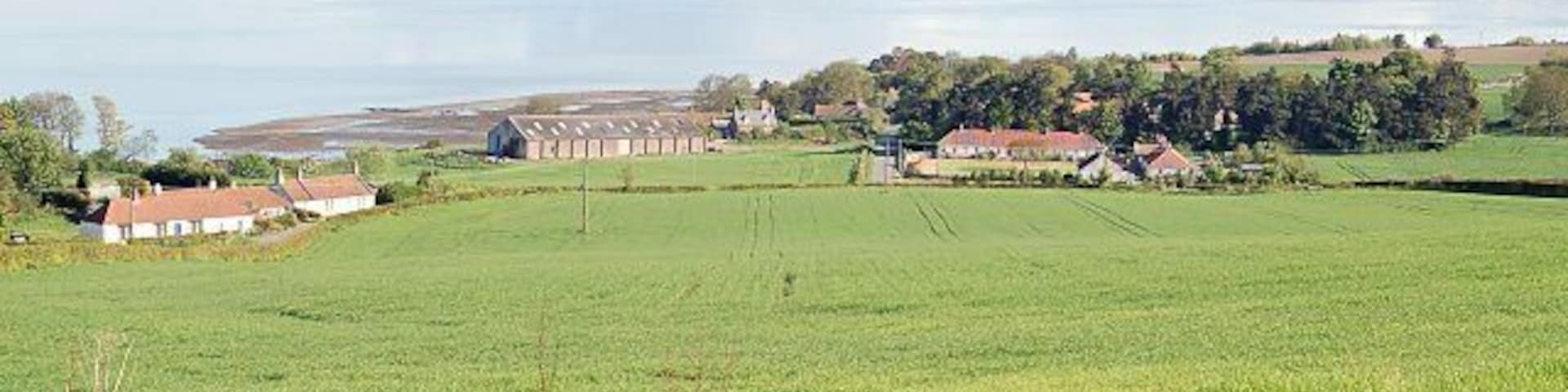 Balmerino farmlands Looking down towards Balmerio and across the Tay towards Invergowrie and the western edge of Dundee. The Abbey is in the woods behind the houses on the right.