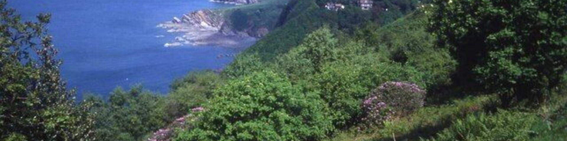 Paisagem costeira com vista para o mar, colinas ondulantes e vegetação densa.