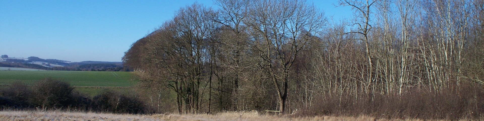 Path to Hinchwick Manor The track, a little to the south of the right of way, has been used as the footpath to this point. The track now curves away to the left whilst the footpath follows the tree line. The wood enjoys the unusual name of 'Hans Brake'.