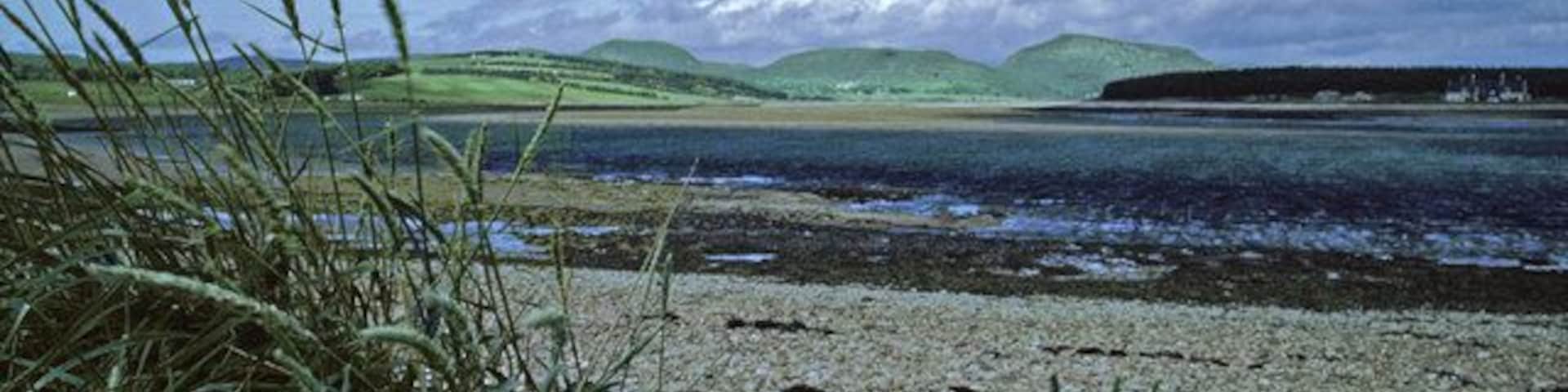 Shoreline of Loch Fleet, Sutherland, Scotland Stony shoreline of Loch Fleet with wild barley. The headland at Littleferry can be seen on the other side of the Loch on the right hand side of the image, with Balblair Wood in the distance with Mound Rock, Beinn Lunndaidh and Ben Bhraggie.