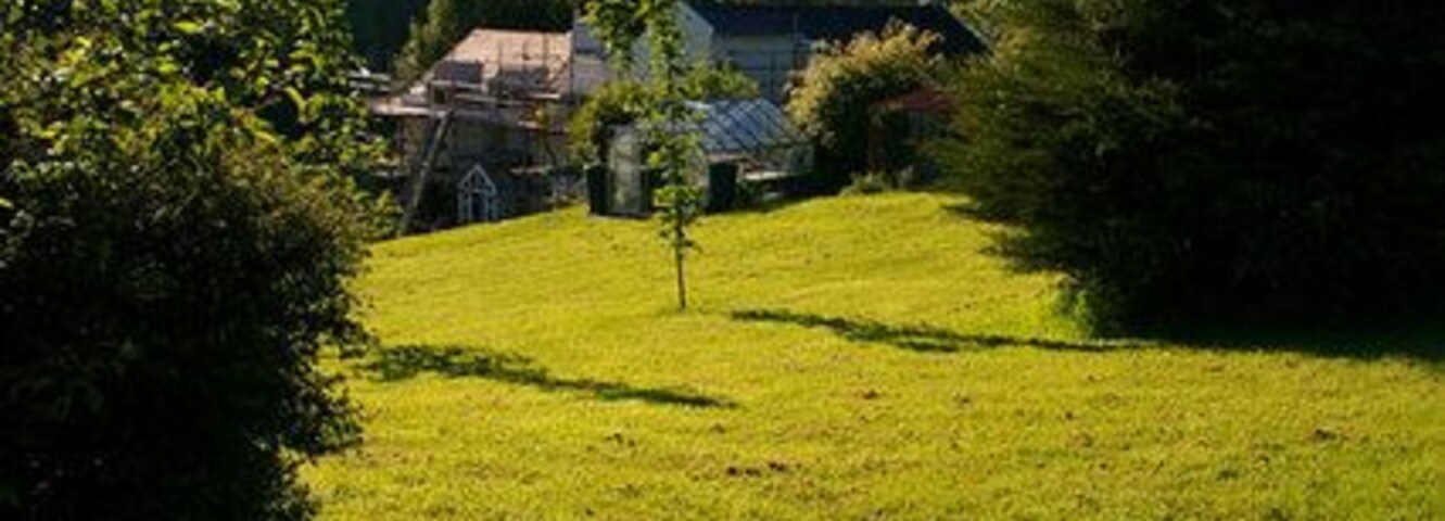 Um campo gramado com uma casa e árvores ao fundo.