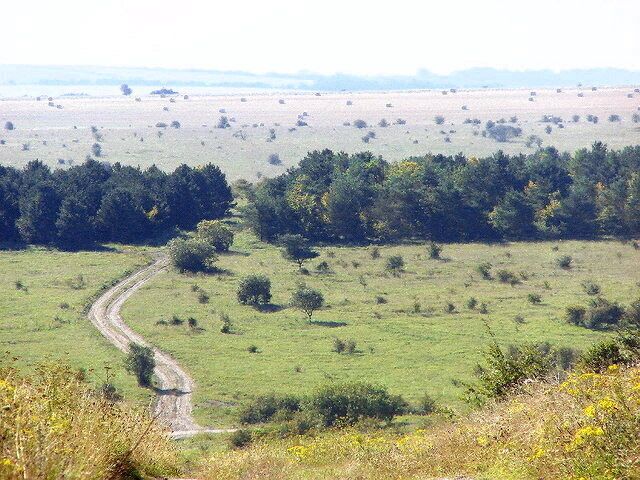 Uma estrada de terra sinuosa atravessa um campo gramado, com árvores esparsas e uma paisagem plana ao longe.