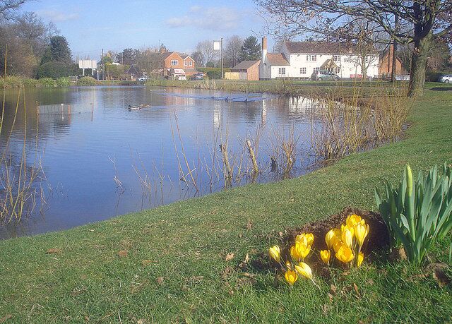 Um lago tranquilo com tulipas amarelas em primeiro plano, rodeado por grama e algumas casas ao fundo.