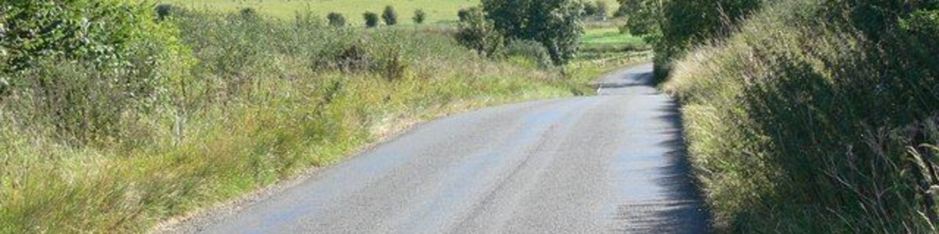 Uma estrada rural estreita, ladeada por campos gramados e árvores dispersas.