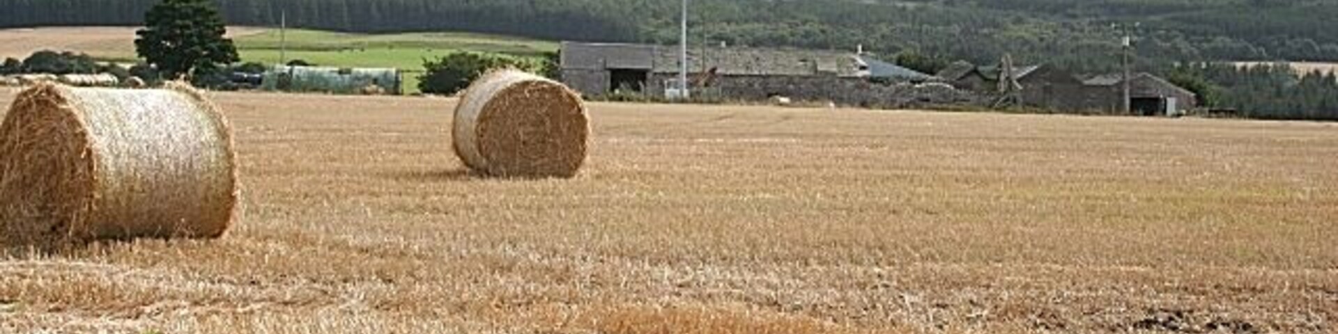 Um campo com fardos de feno e um edifício ao longe.