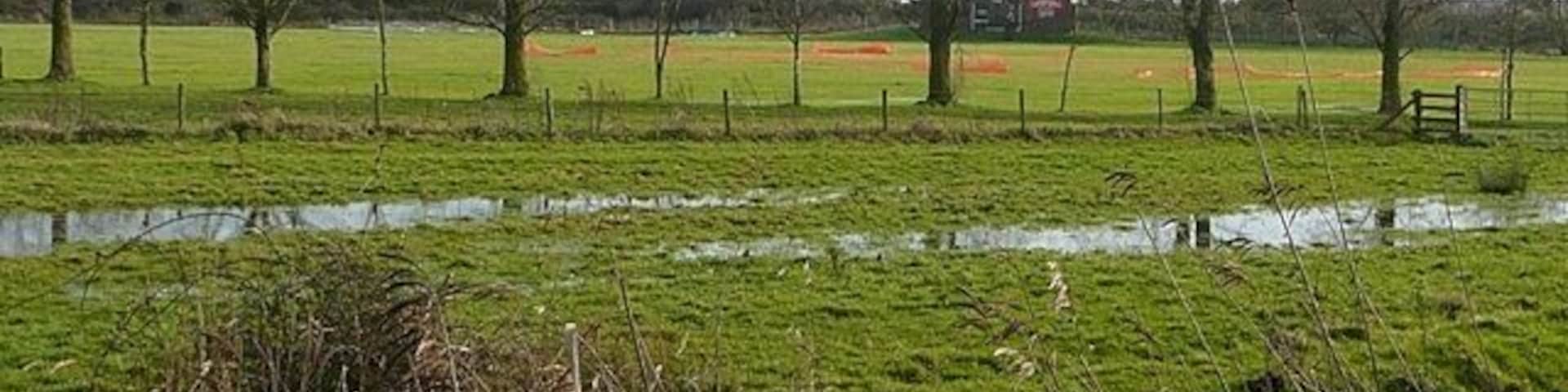 Budleigh Salterton cricket club This cricket pitch has been built on low lying ground to the east of the village. 400 years ago this would have been permanently underwater. Now, it just looks as though it is occasional.