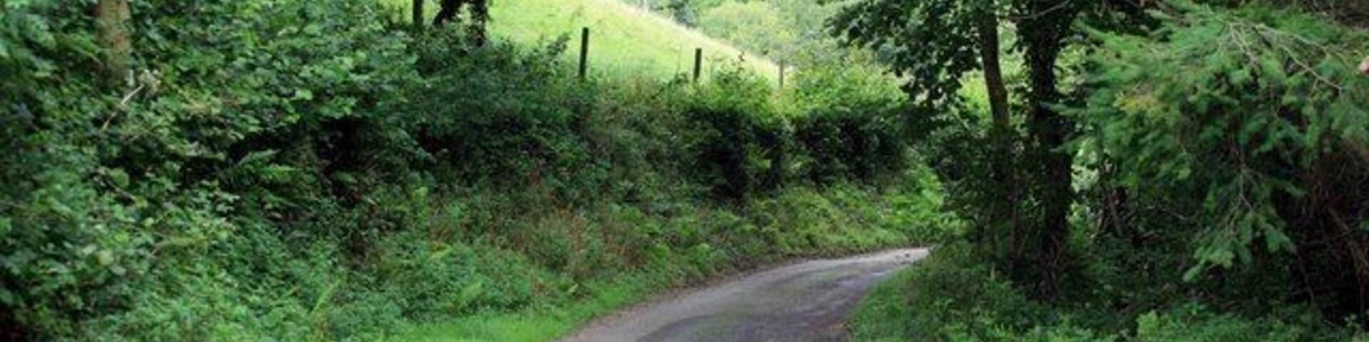 Uma estrada rural estreita e sinuosa, rodeada por vegetação exuberante e árvores.