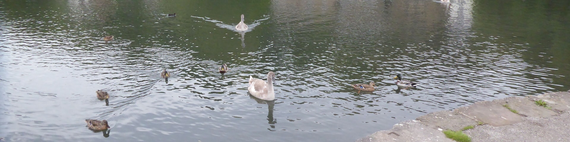 Mill Pond, Cromford.