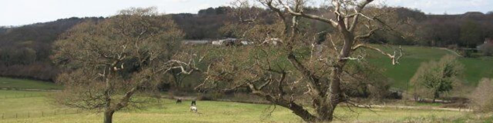 West from Mountain Clump A pleasant view and a good place for a picnic, under a big tree.