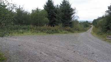 Uma estrada de cascalho em área rural, com vegetação densa nas laterais.
