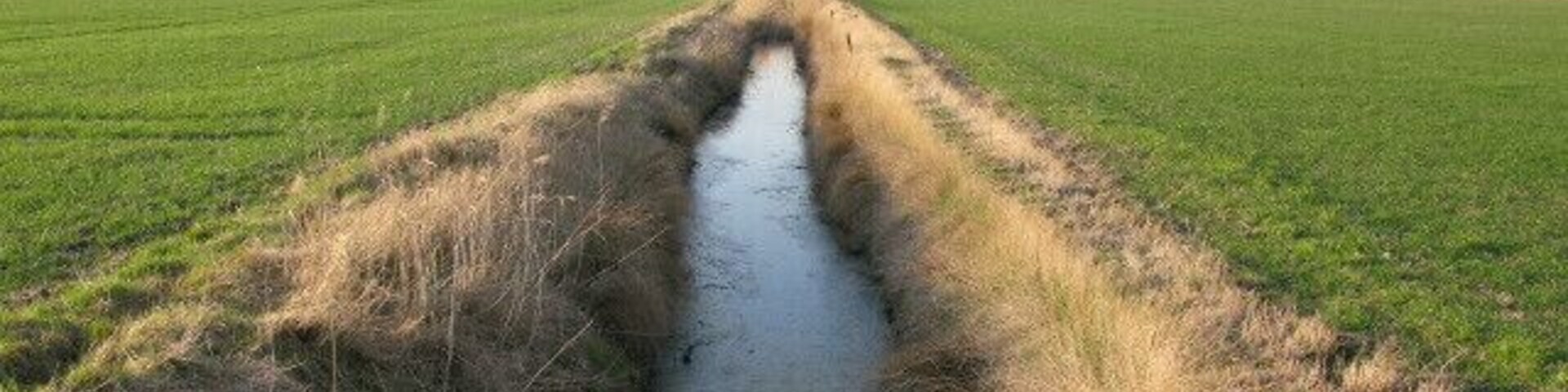Um estreito canal de água em um campo verde.