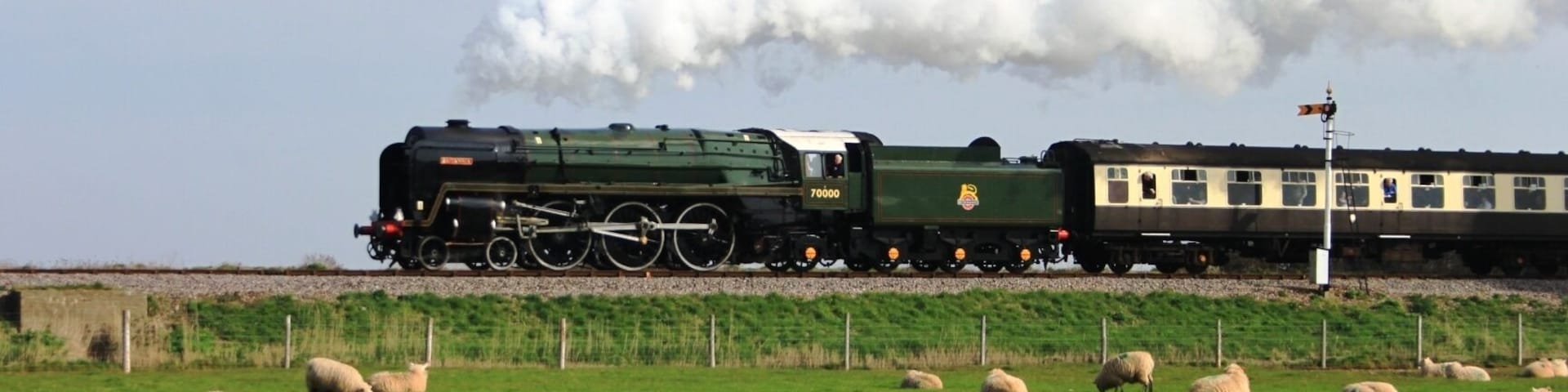 British Railways 'standard' class 7 number 70000 Britannia passes sheep grazing on Ker Moor at Blue Anchor, Somerset. It is heading from Bishops Lydeard to Minehead during a visit to the West Somerset Railway.
