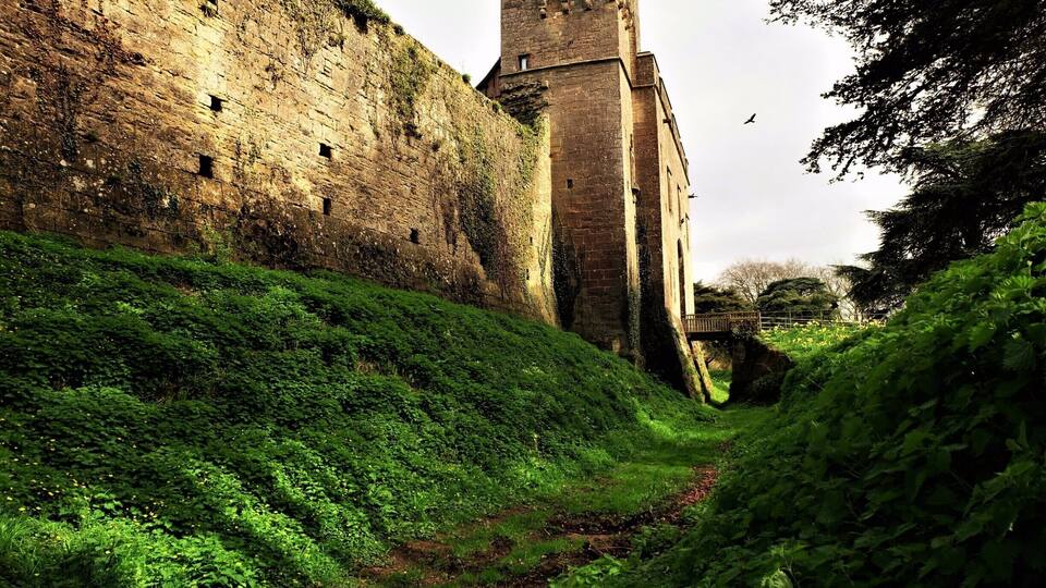 Walls of the Caldicot Castle #green