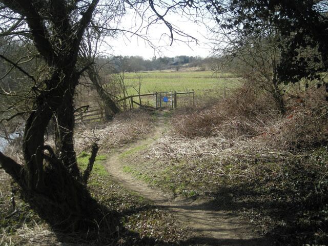 Uma trilha rural leva a um portão, com um campo ao fundo.