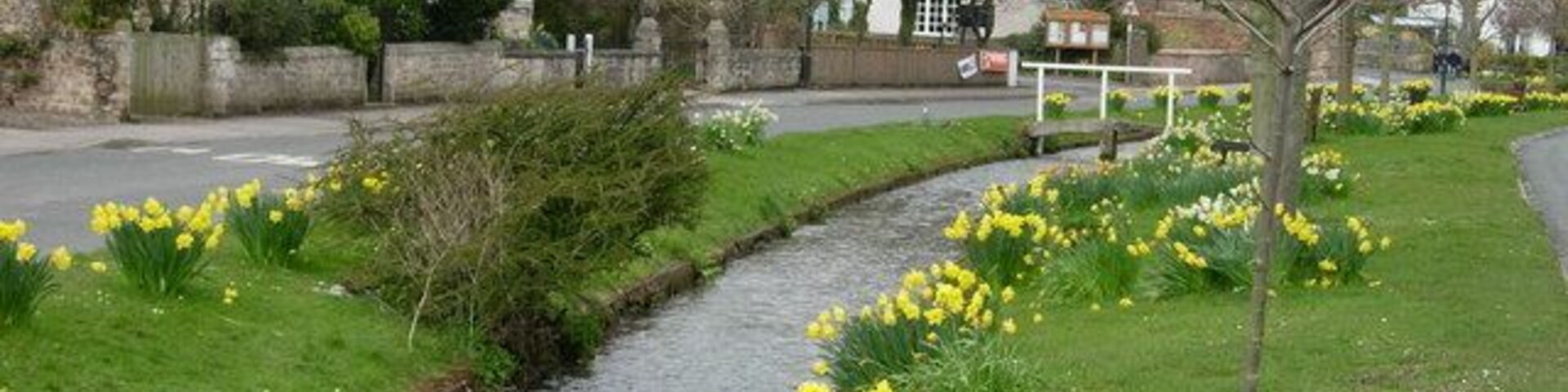 Um canal estreito com narcisos amarelos ao longo das margens, uma parede de pedra e um edifício ao fundo.
