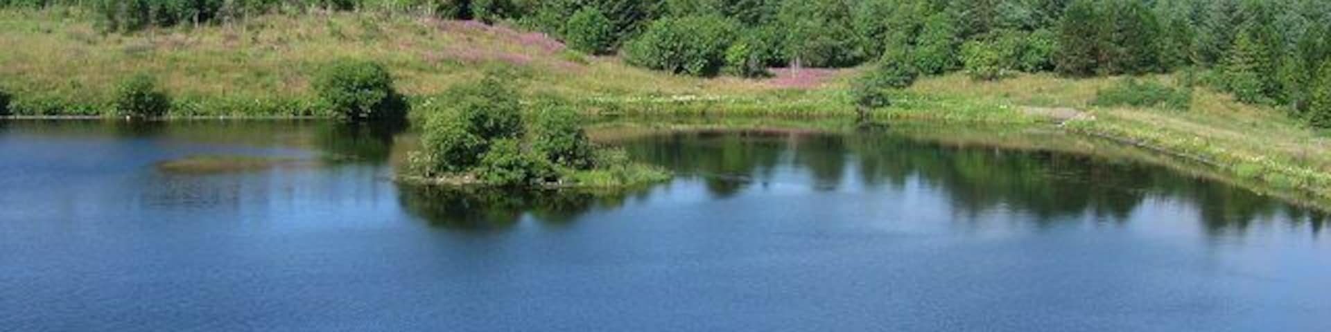 Kirkleegreen Reservoir. Well weathered in old reservoir.