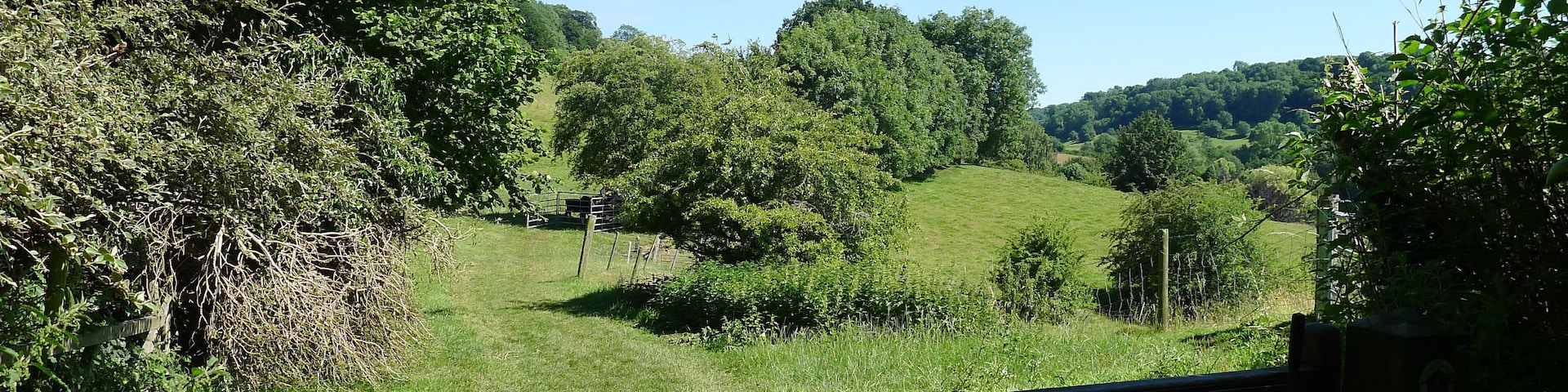 On the flank of Winner Hill