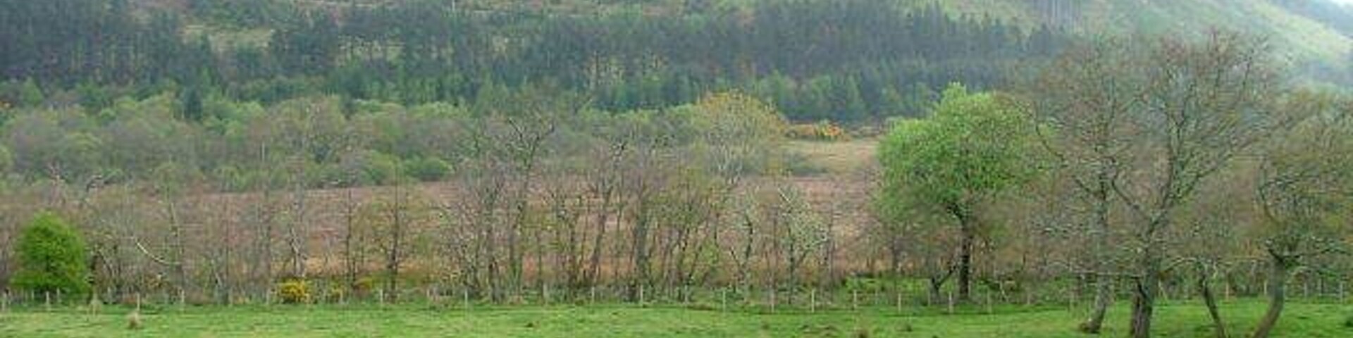 Um campo gramado com uma colina ao fundo.