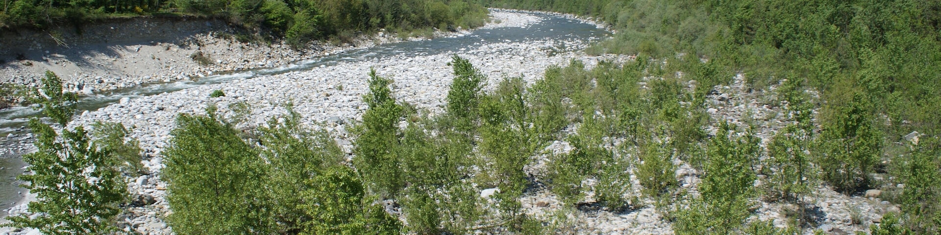 Flussbett der Melezza auf der Höhe von Tegna. Das Bild zeigt das durch Pioniergehölze Bewachsene Flussbett mit Blick flussaufwärts. Die Melezza führt zum Zeitpunkt der Aufnahme sehr wenig Wasser.