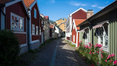 Uma rua de pedra com edifícios vermelhos e brancos, céu azul claro e flores cor-de-rosa em primeiro plano.