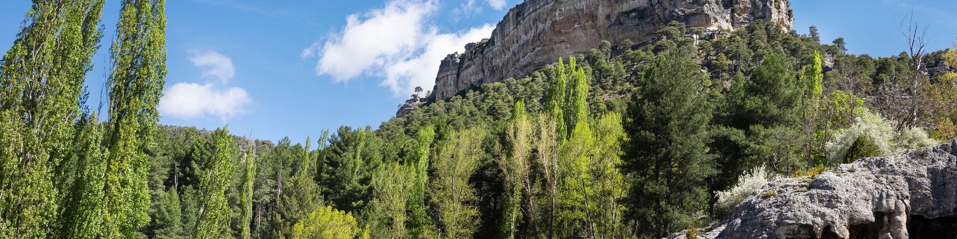 Montanha rochosa com floresta densa e árvores altas.