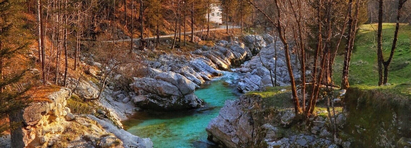Many people go to Slovenia in the summer period but in the autumn is the natural beauty of Slovenia. It will also not be crowded because it is out of season.
#LifeAtExpedia
#Slovenia
#Nature
#Autumn
#Travel
#River
#outdoor