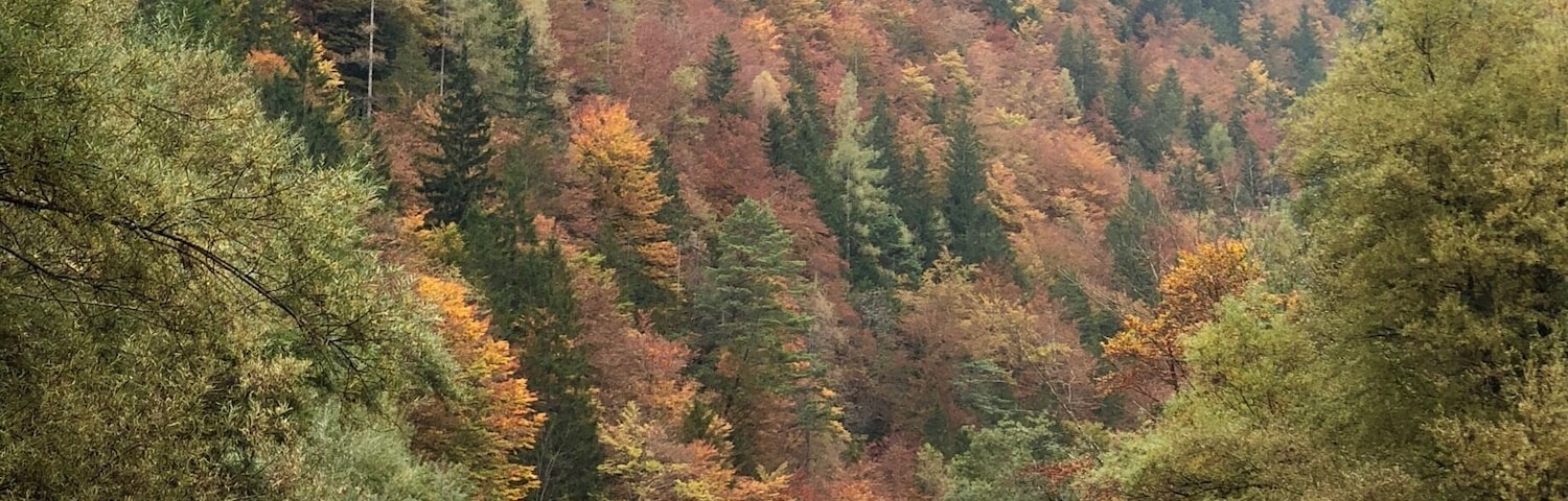 Nice autumn colours
