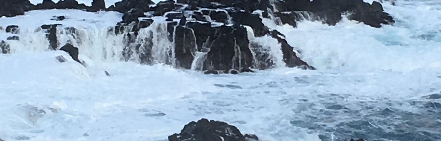 Crazy wind and waves this morning. Took this from the trail along the cliffs