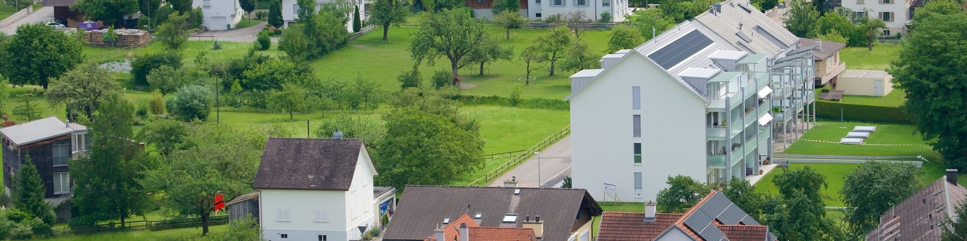Liechtenstein which includes tranquil scenes and a small town or village