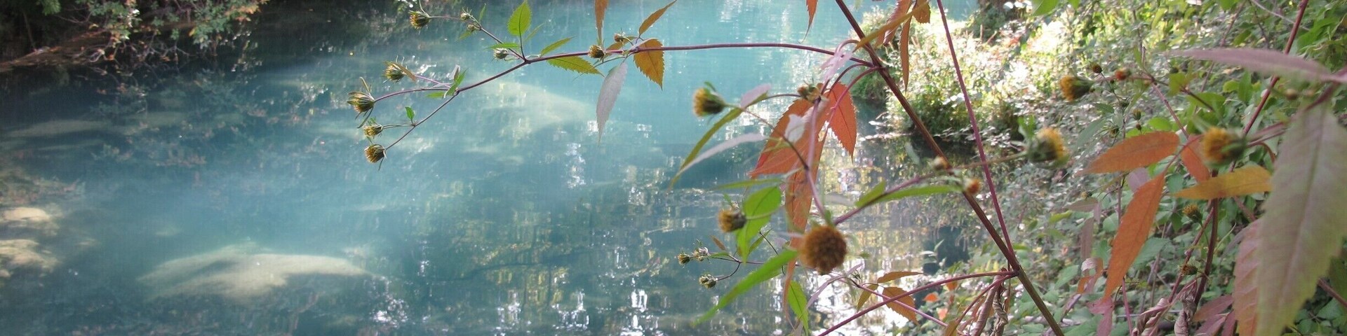 Blue river ... fantastic with green and yellow collors of landscape.