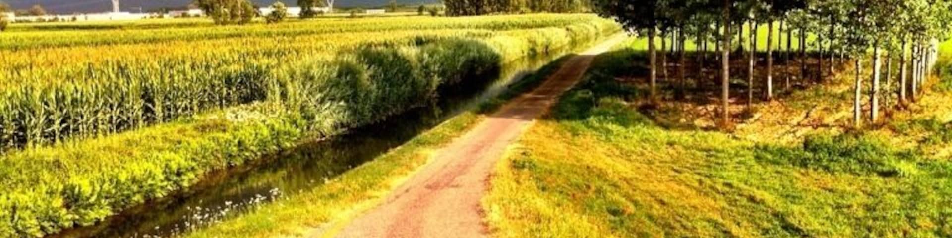 Bicycle trip around Ticino park, Lombardia