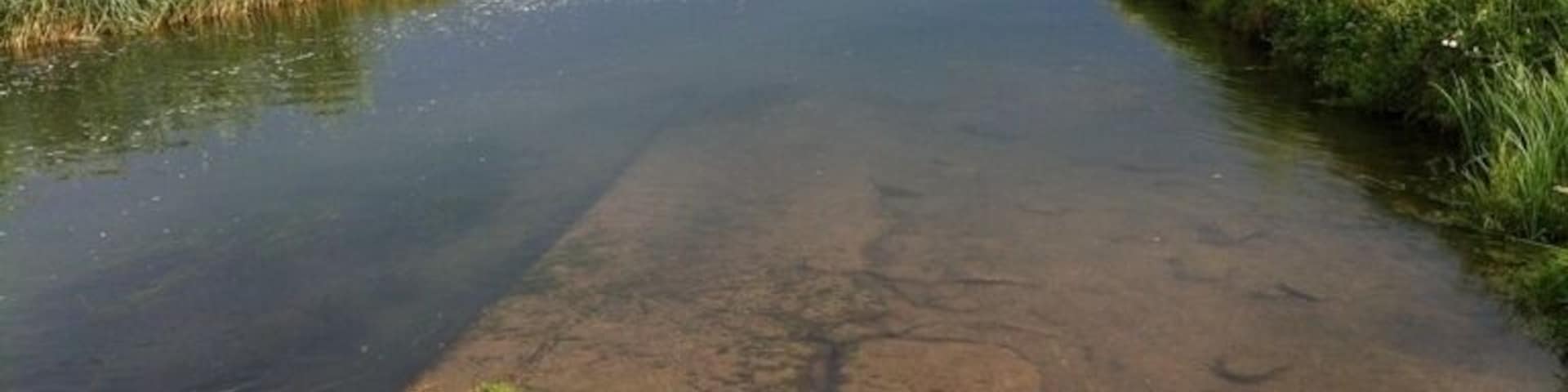 Bicycle trip around Ticino park, Lombardia