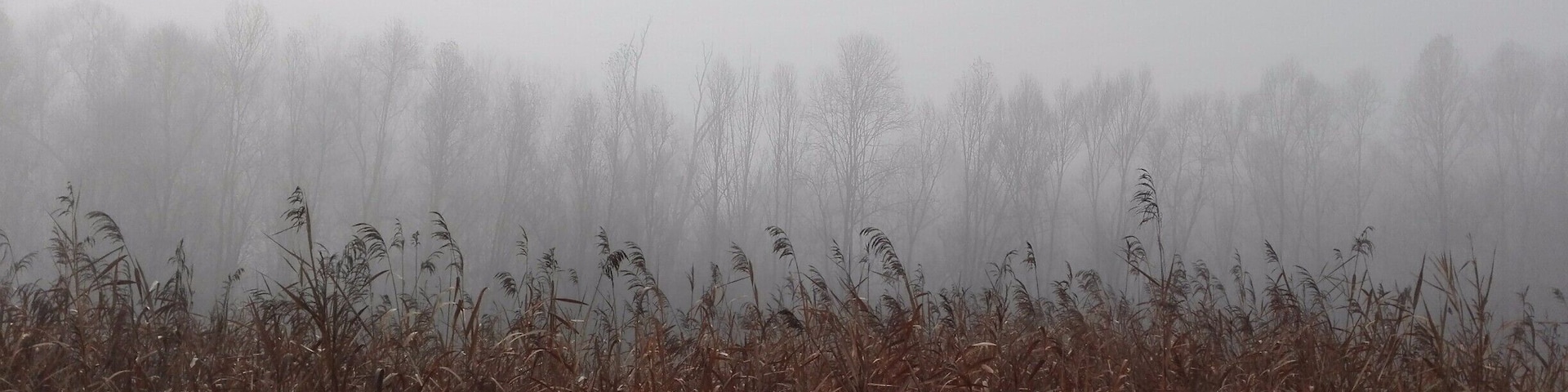 Delta Po river in winter