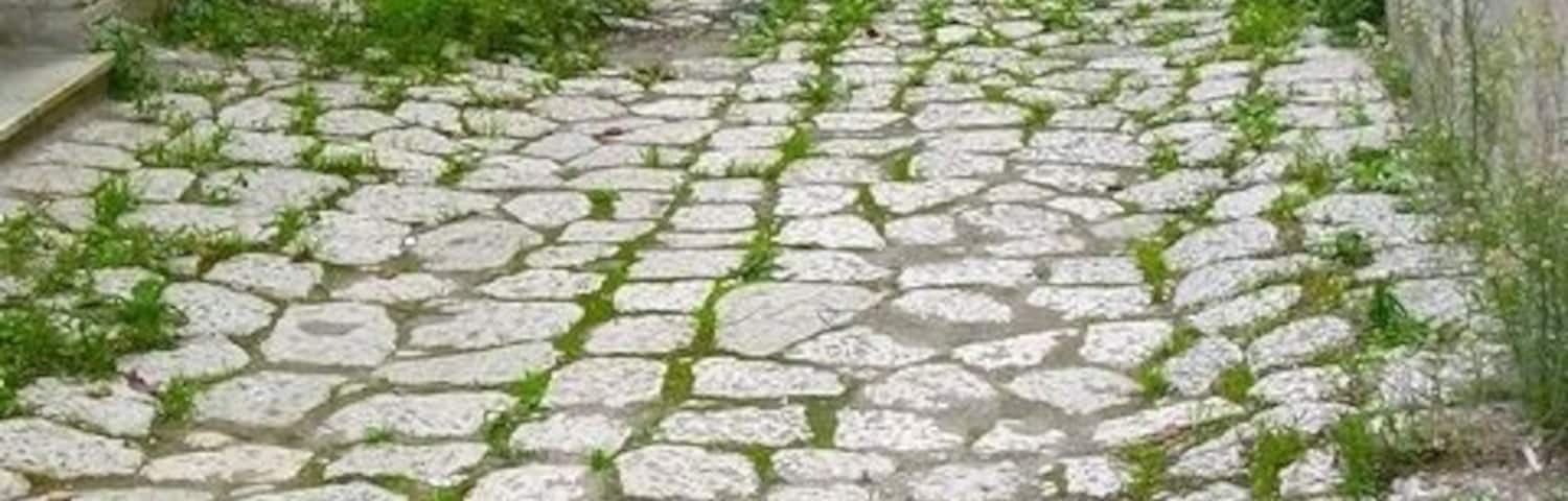 Scorcio del centro storico di Apice, in provincia di Benevento, abbandonato dopo il terremoto del 1962