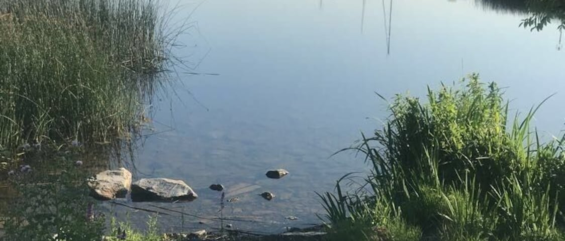 Particularly beautiful early in the morning