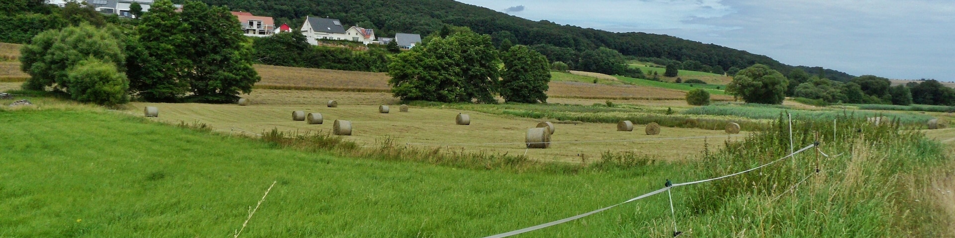 Rural area around the Western Palatinate village of Erzenhausen; in the background the "Eulenkopf" mountain (422 m height), in the front the Rischbach valley.