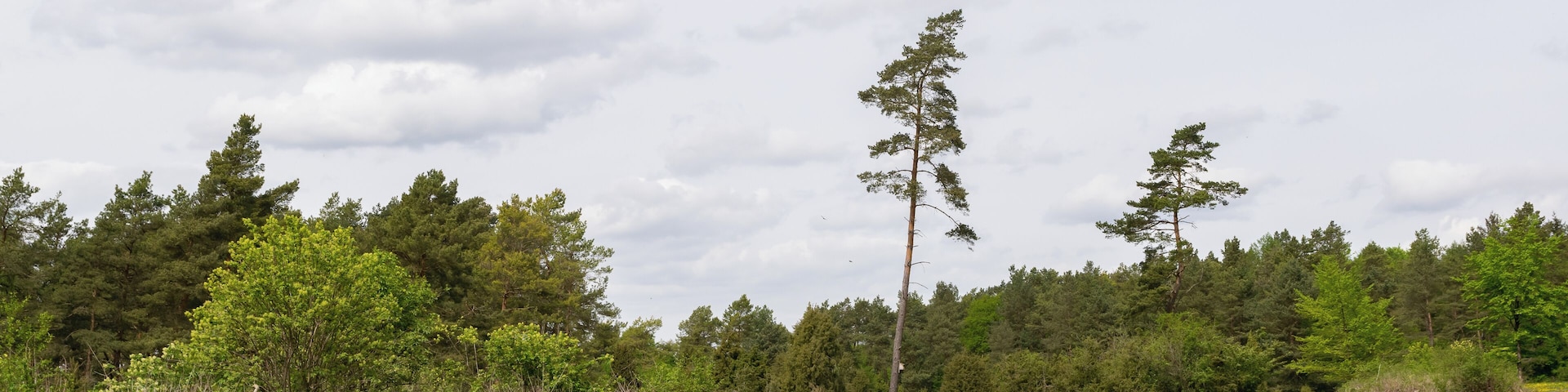 Naturschutzgebiet Iberg bei Hörle in Volkmarsen-Hörle, Landkreis Waldeck-Frankenberg