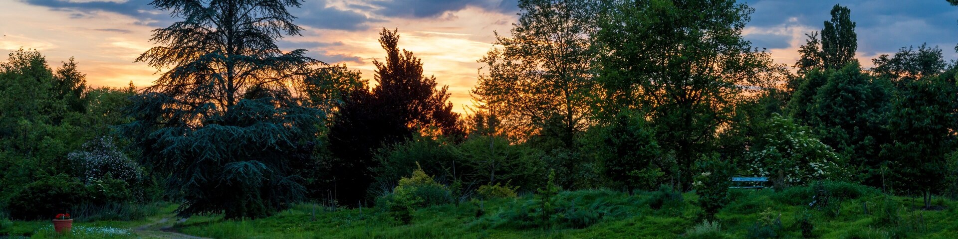 Bilder aus dem Queen-Auguste-Victoria-Park in Umkirch Sonnenuntergang im Park