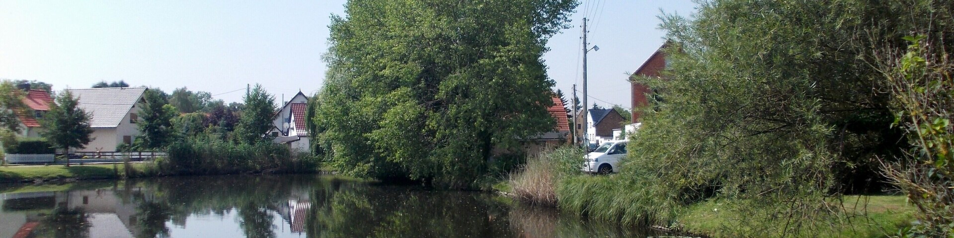 Pond in Beuchlitz (Teutschenthal, district: Saalekreis, Saxony-Anhalt)
