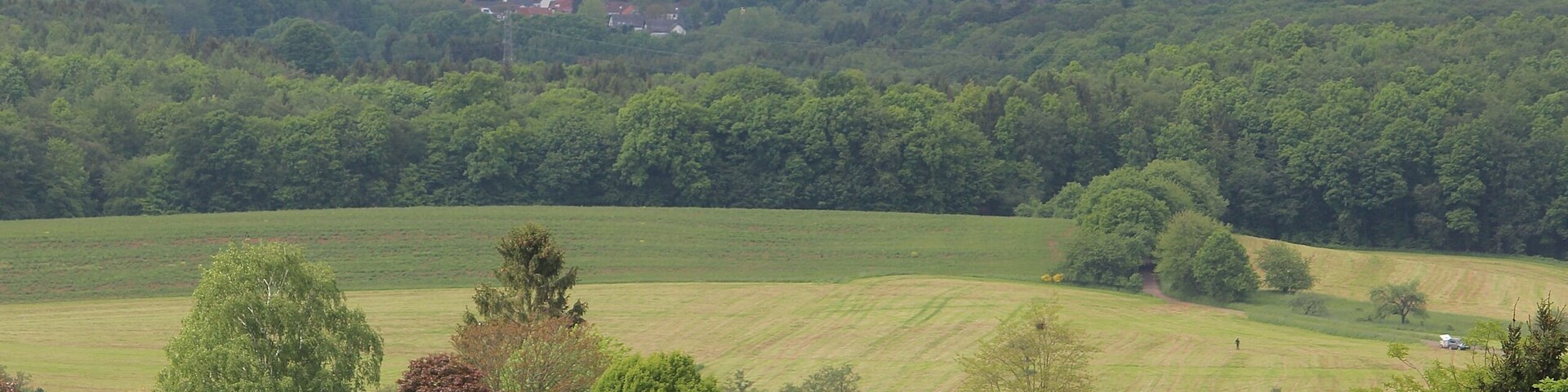 Reisbach (Saarwellingen), view to village and mountain Hoxberg