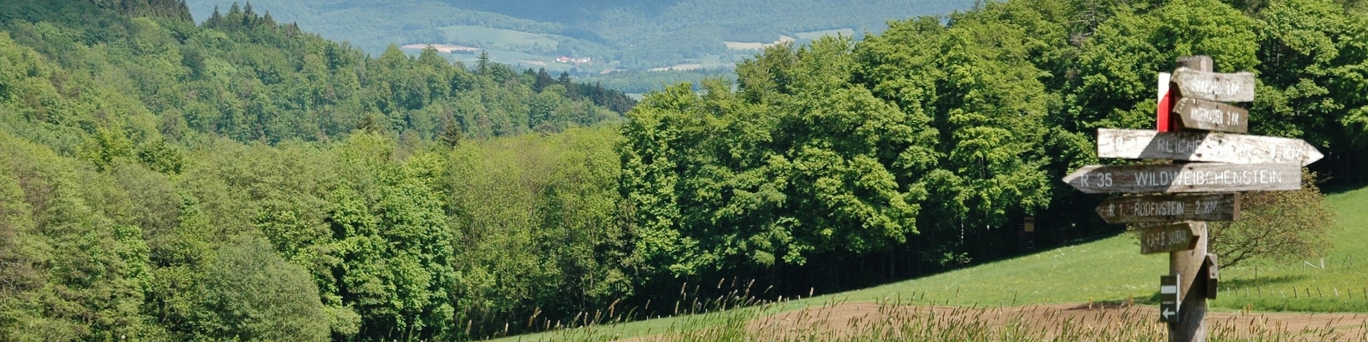 Ausblick in den Odenwald in der Nähe vom Gasthaus Zur Freiheit