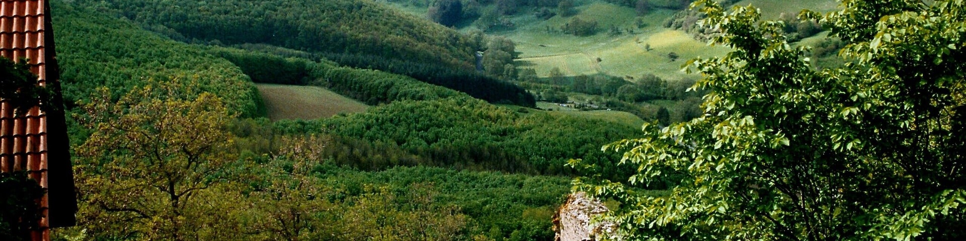 Moschellandsburg, view southwards