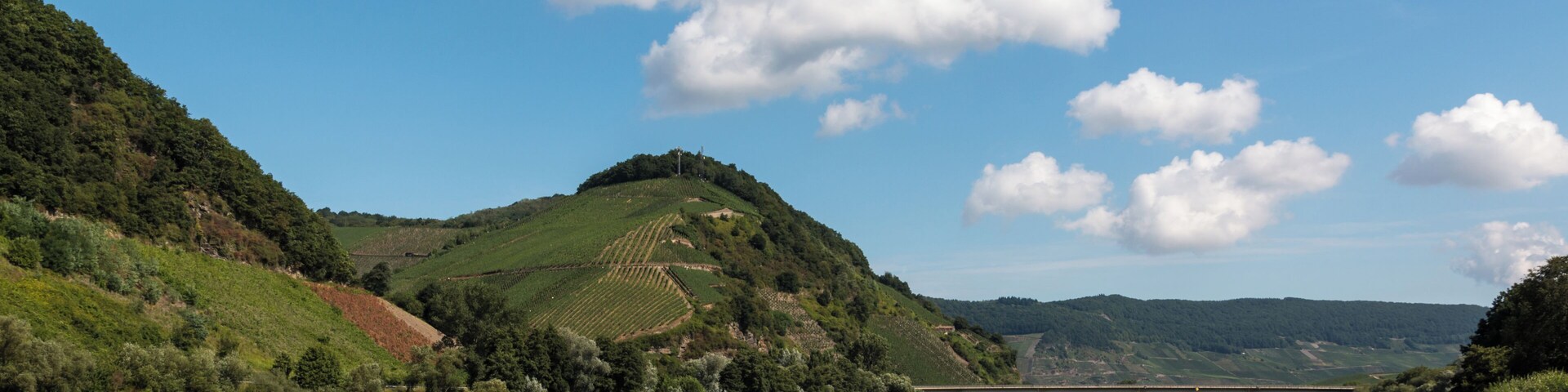 Mosel (and bridge), Neumagen-Dhron, Rhineland-Palatinate, Germany
